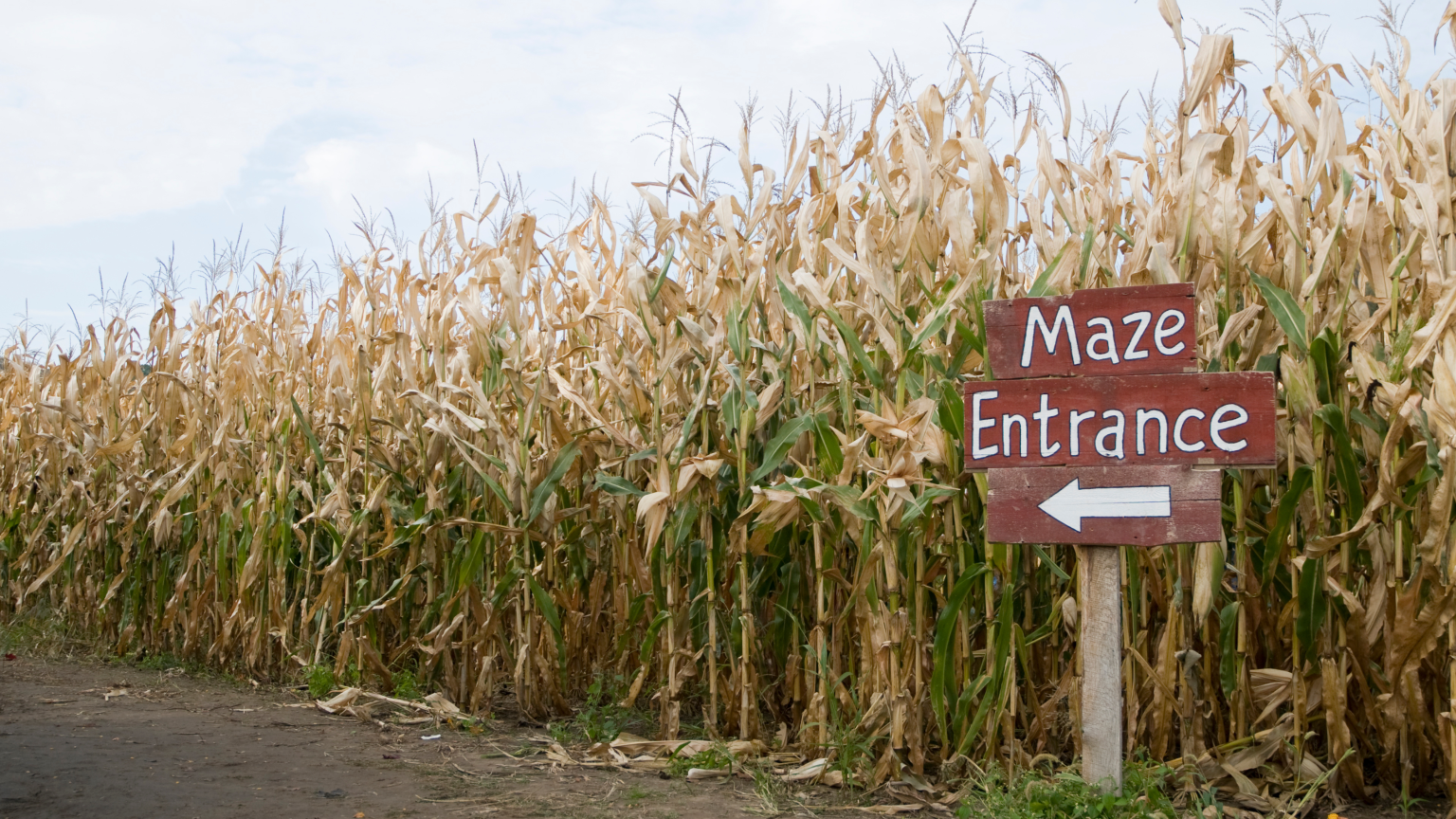 Fall Fun at Fiddlesticks Farm! - Visit Midland