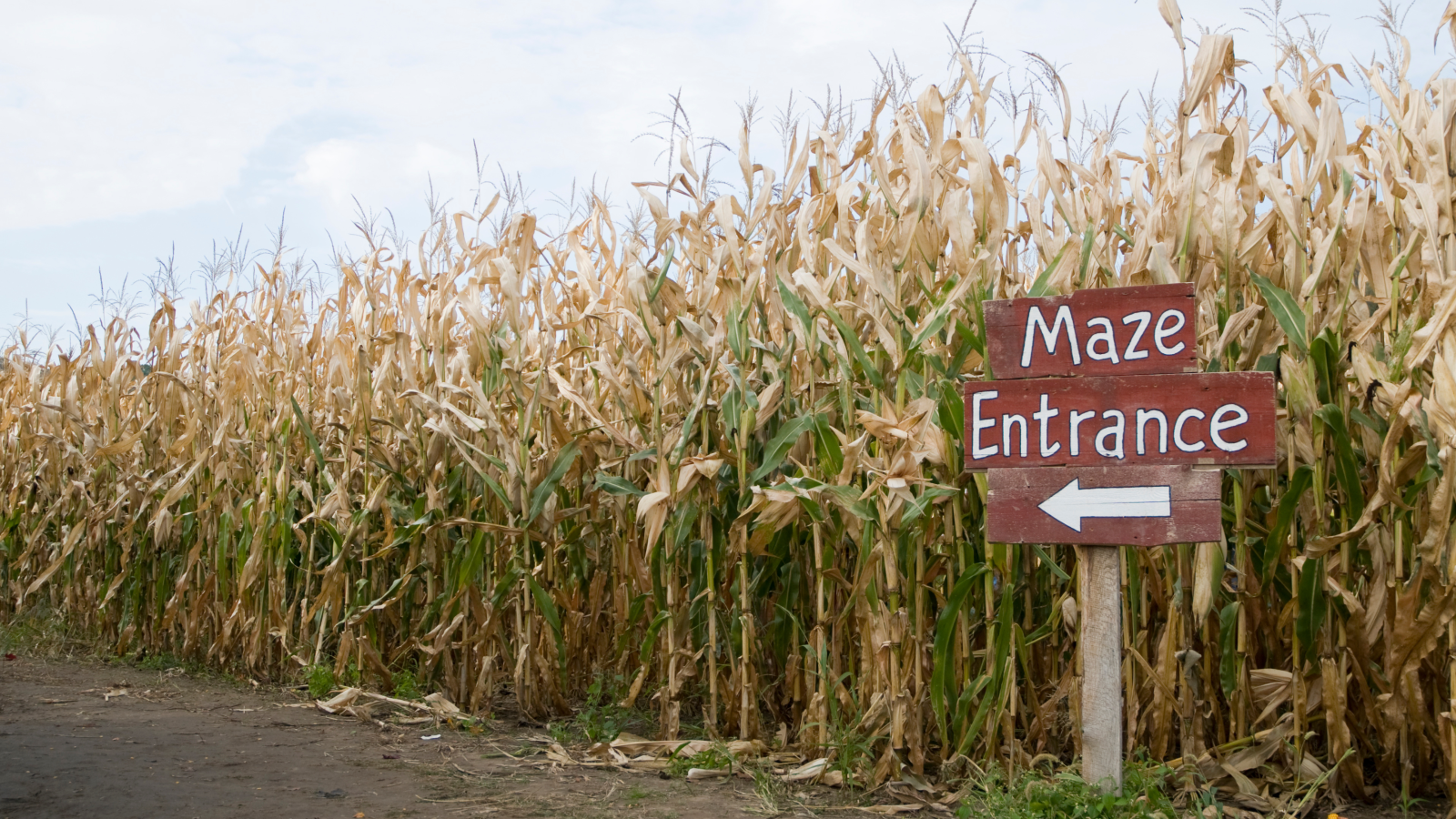 Fall Fun at Fiddlesticks Farm! - Visit Midland